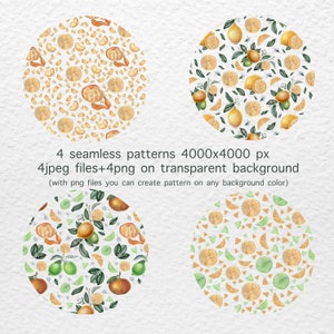 Citrus Seamless Patterns, Botanical and Food Background, Scrapbooking ...