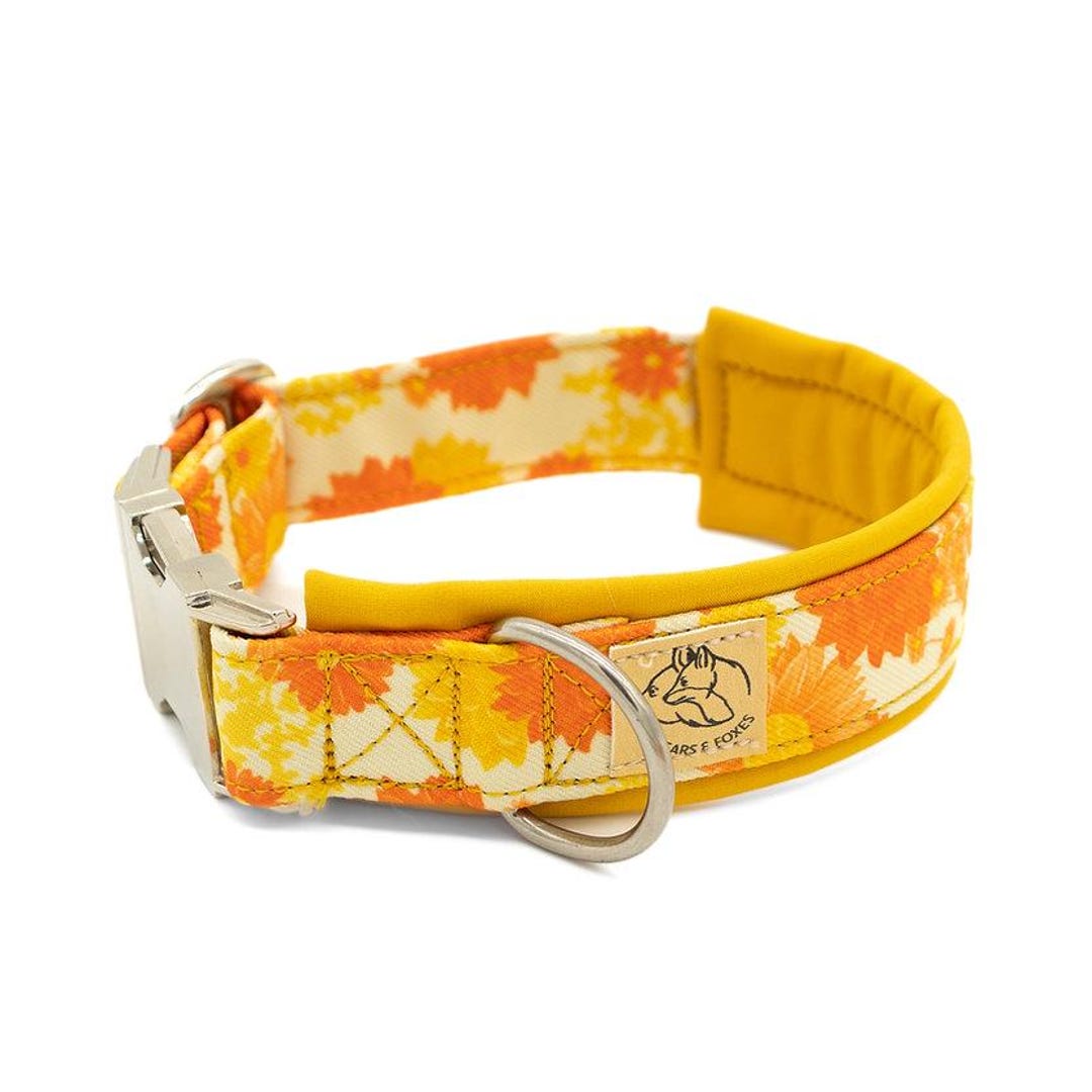 Of Bears and Foxes Dog Collar Orange Love - Etsy