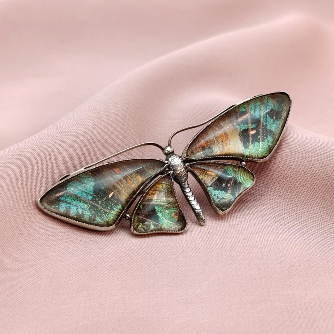 Rare Large Colourful Antique Genuine Butterfly Silver Brooch Iridescent ...