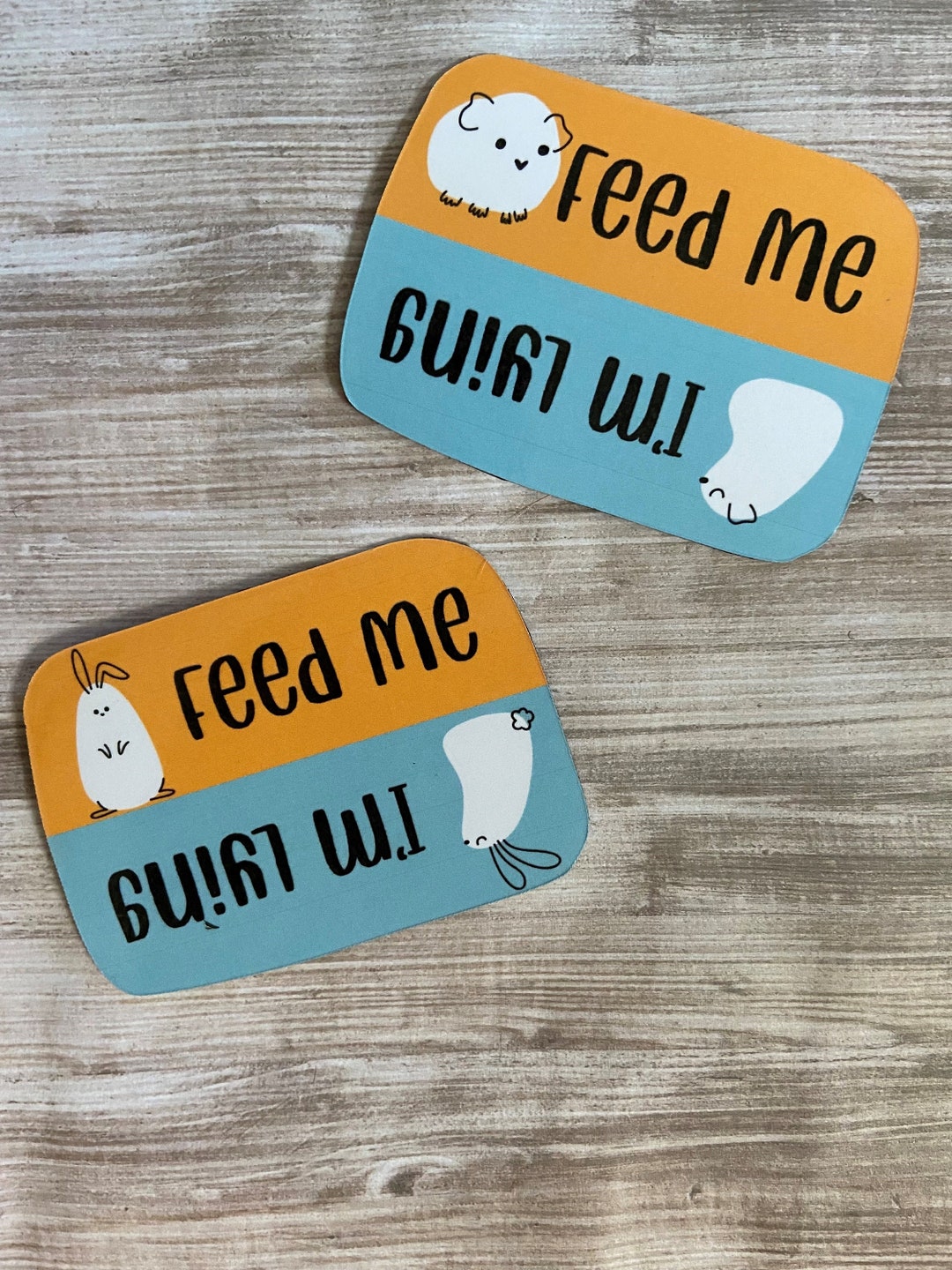 Feeding Reminder Magnet Guinea Pig Bunny Small Pet - Etsy