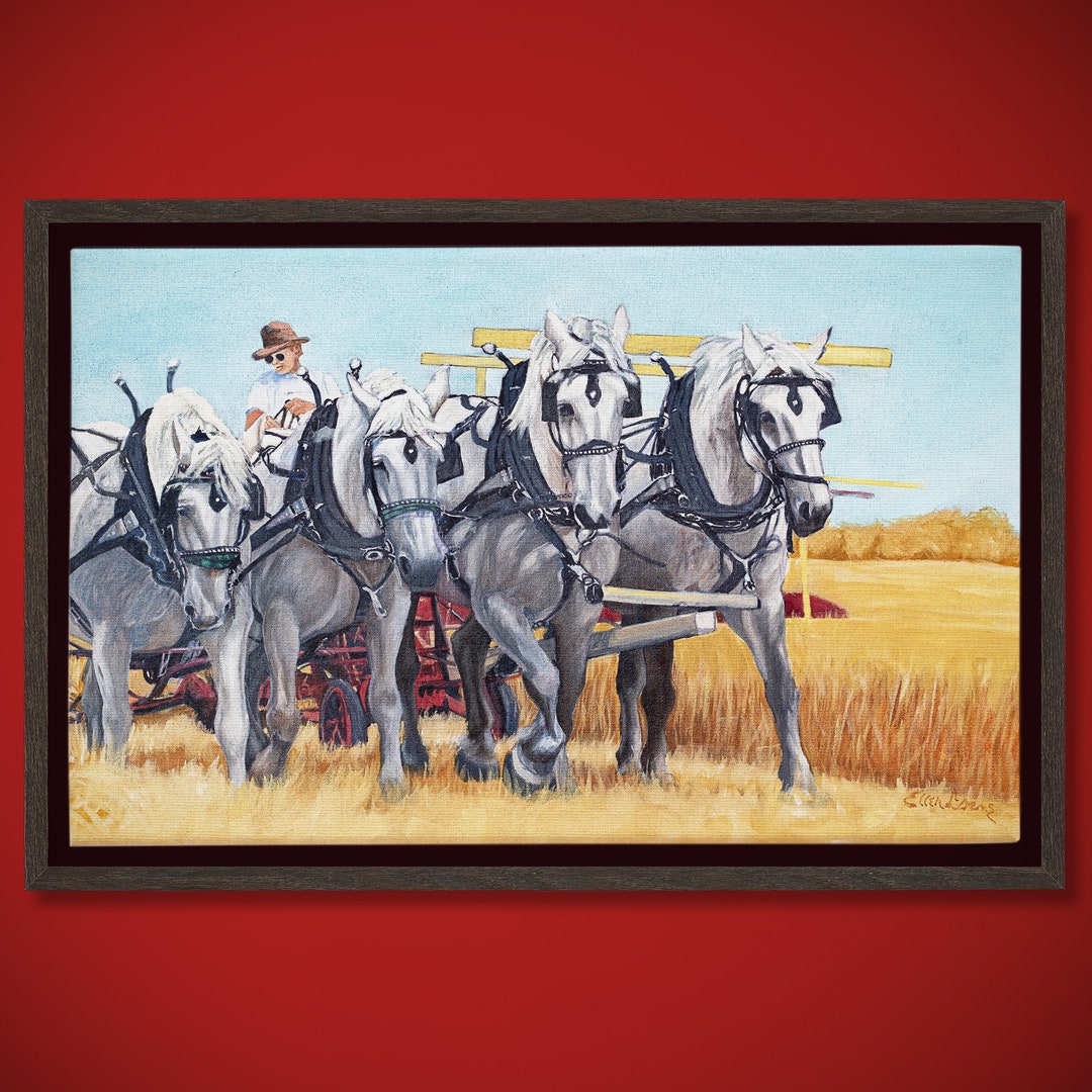 Four Abreast: White Percherons at the Bar U Ranch Oil - Etsy