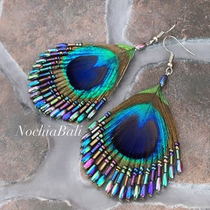 Peacock feather earrings gold store