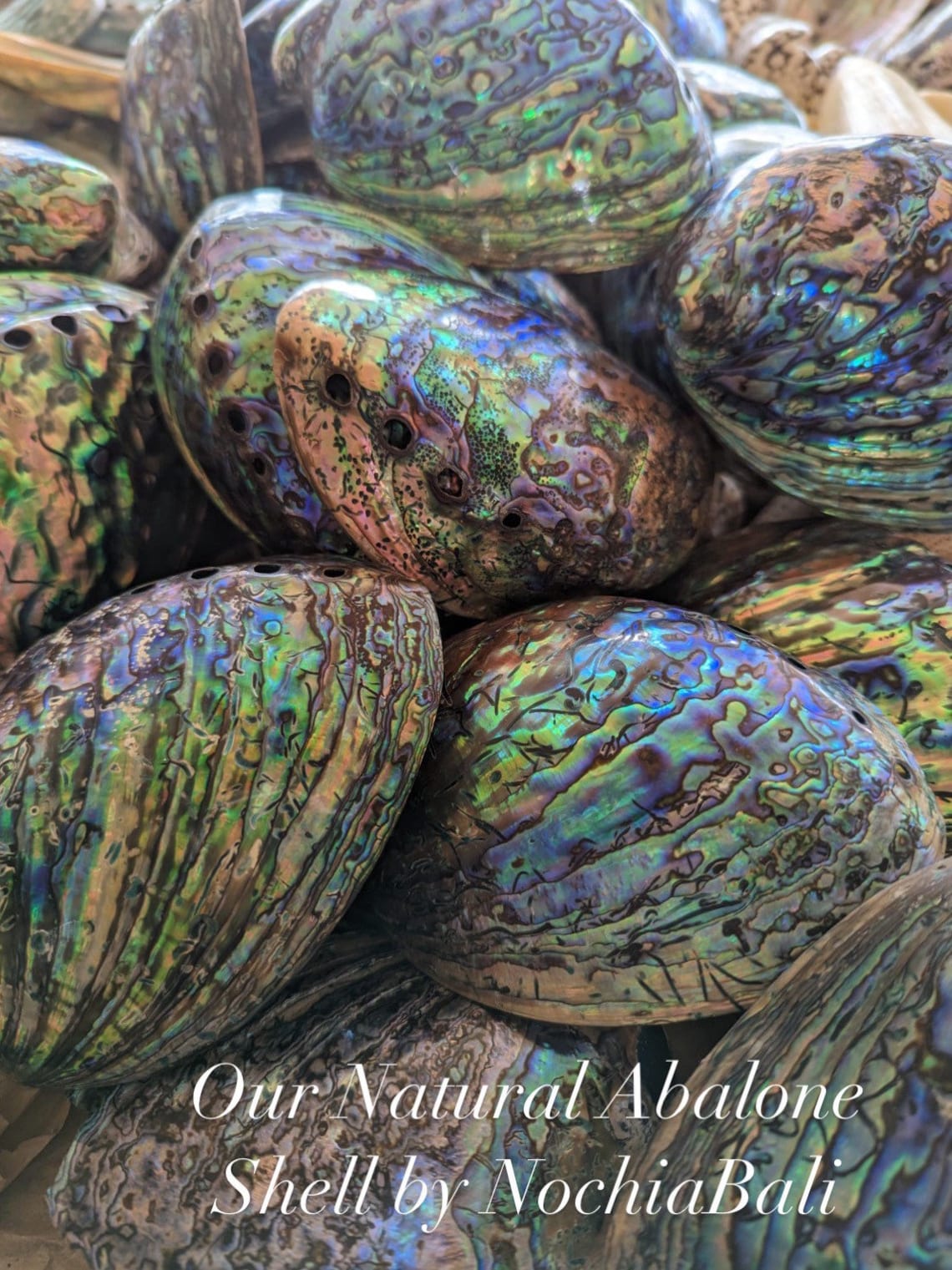 Abalone Drop Earring Natural Abalone Earring Abalone Shell - Etsy