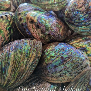 Abalone Drop Earring, Natural Abalone Earring, Abalone Shell Jewelry ...