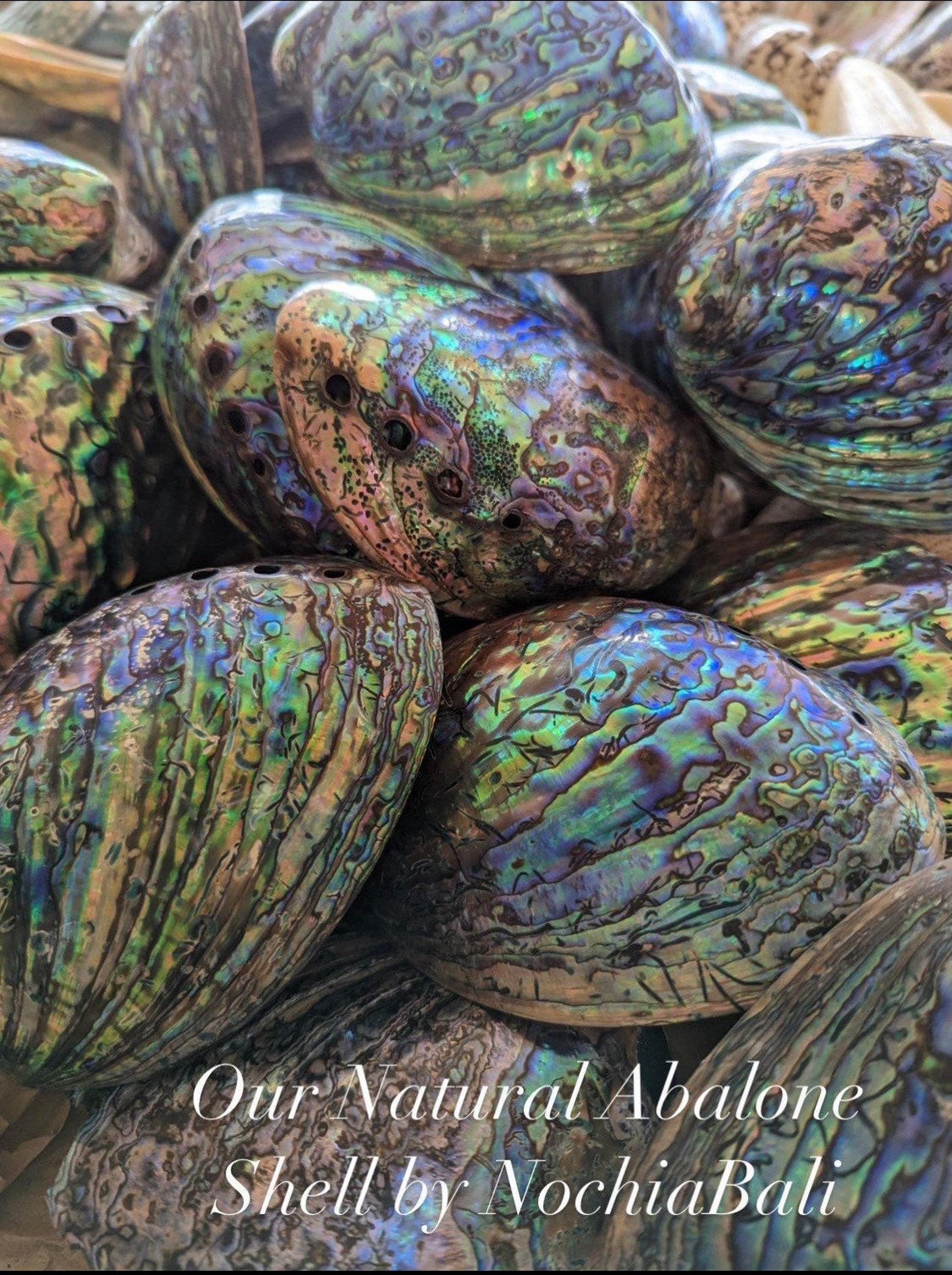 Abalone Teardrop Dangle Earring Paua Abalone Jewelry - Etsy