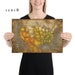The United States of America - World of Warcraft Style Map - Etsy