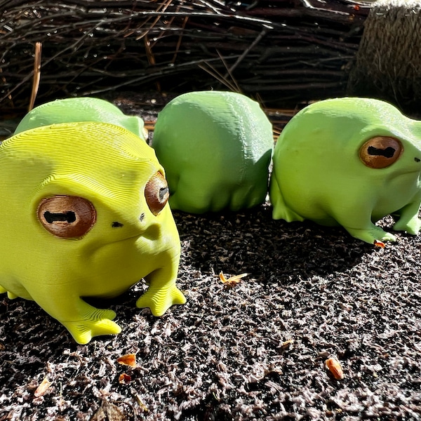 Screaming Rain Frog - Etsy