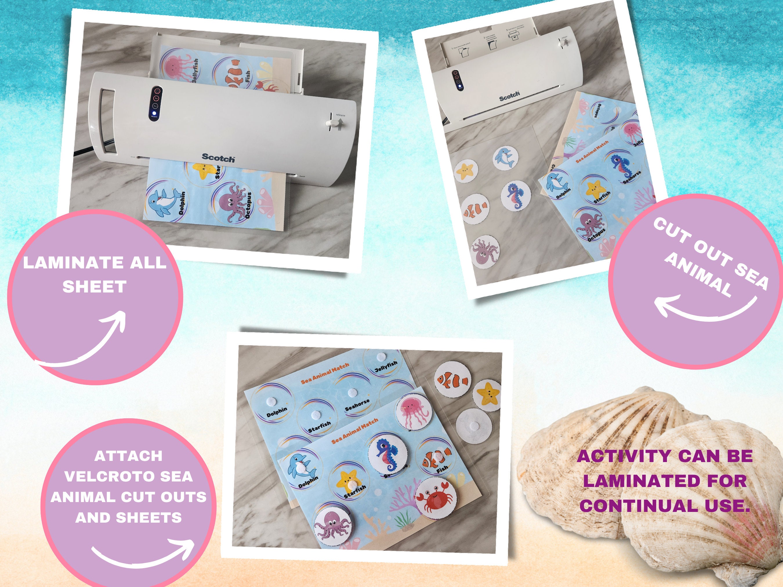 Printable Sea / Ocean Animal Match Activity for Preschool and ...