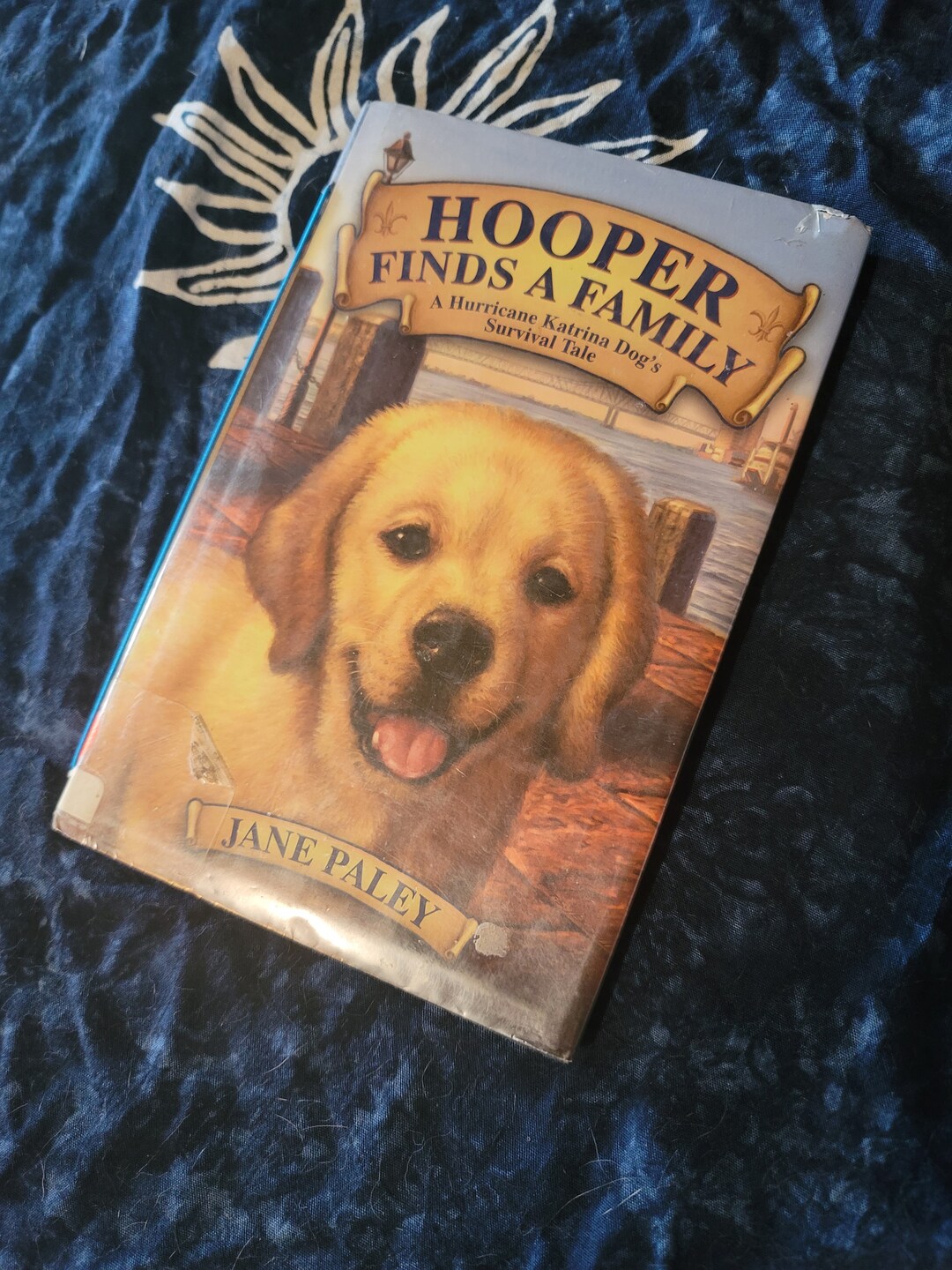 Upcycled Hooper Finds a Family Book Cover Travelers Notebook - Etsy