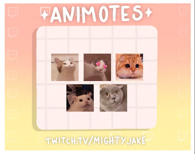 Twitch Emote / 5x Animated Cat Meme Emotes / Streamer, Discord, Twitch ...