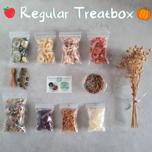 Hamster Treat Box Flaxspray Foraging Flowers Rosehips Dried Fruit ...