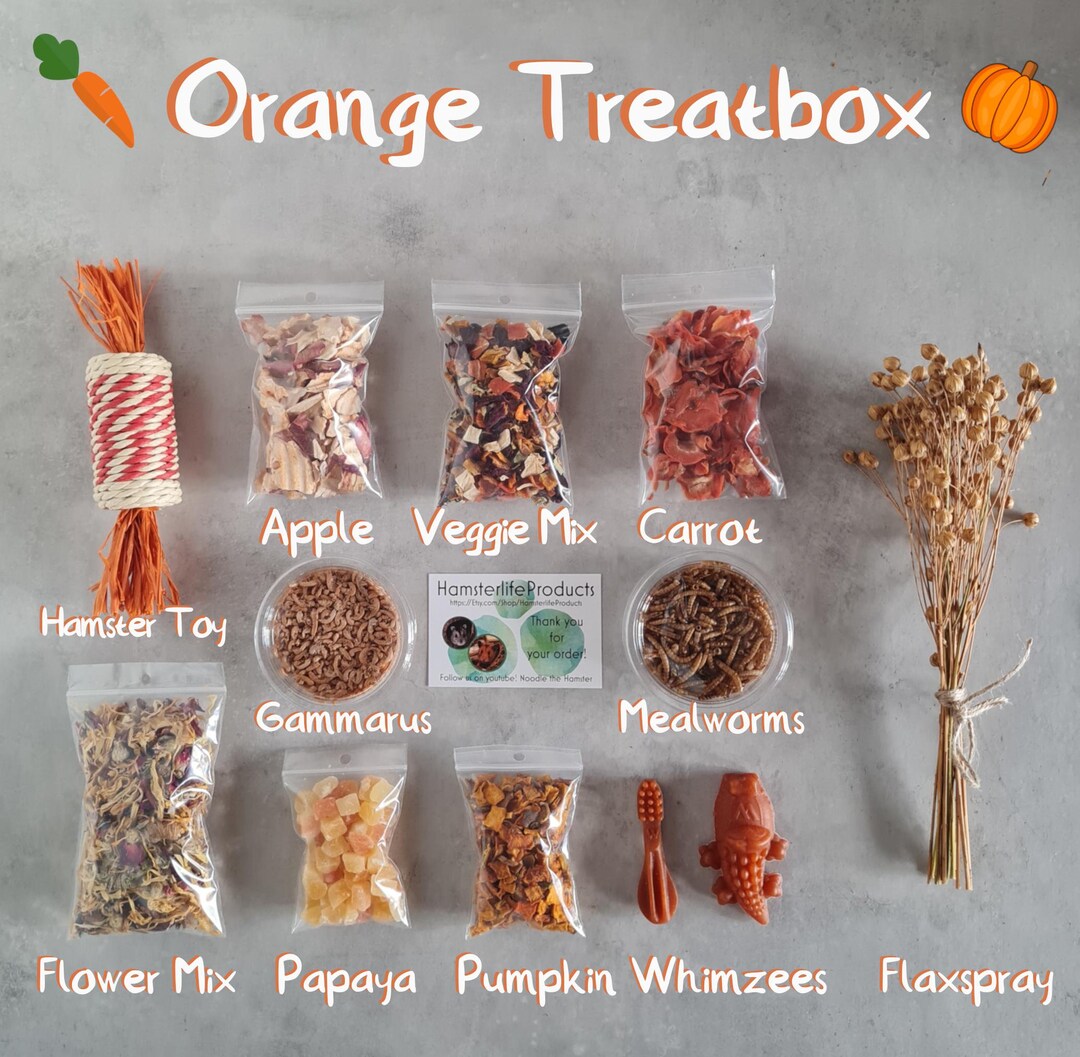 Hamster Treat Box - Flaxspray - Foraging - Flowers - Rosehips - Dried ...