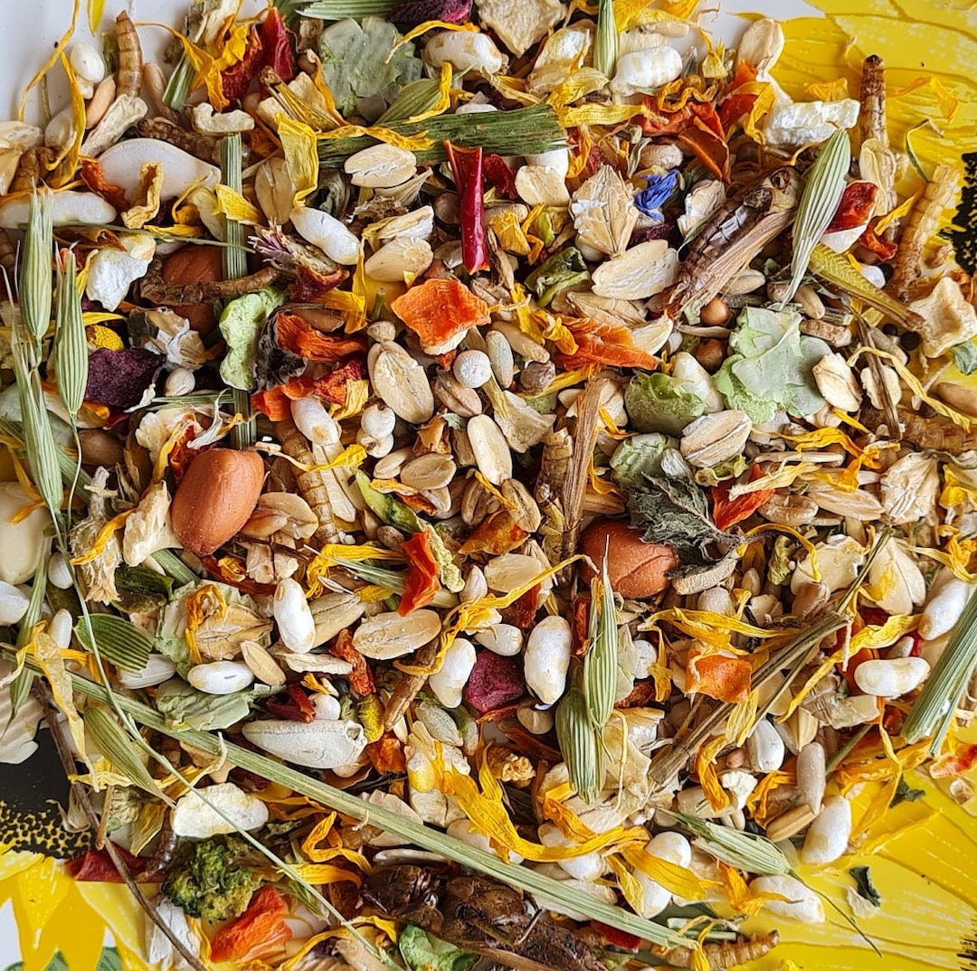 Syrian Hamster Seed Mix Insects Dried Flowers Herbs - Etsy