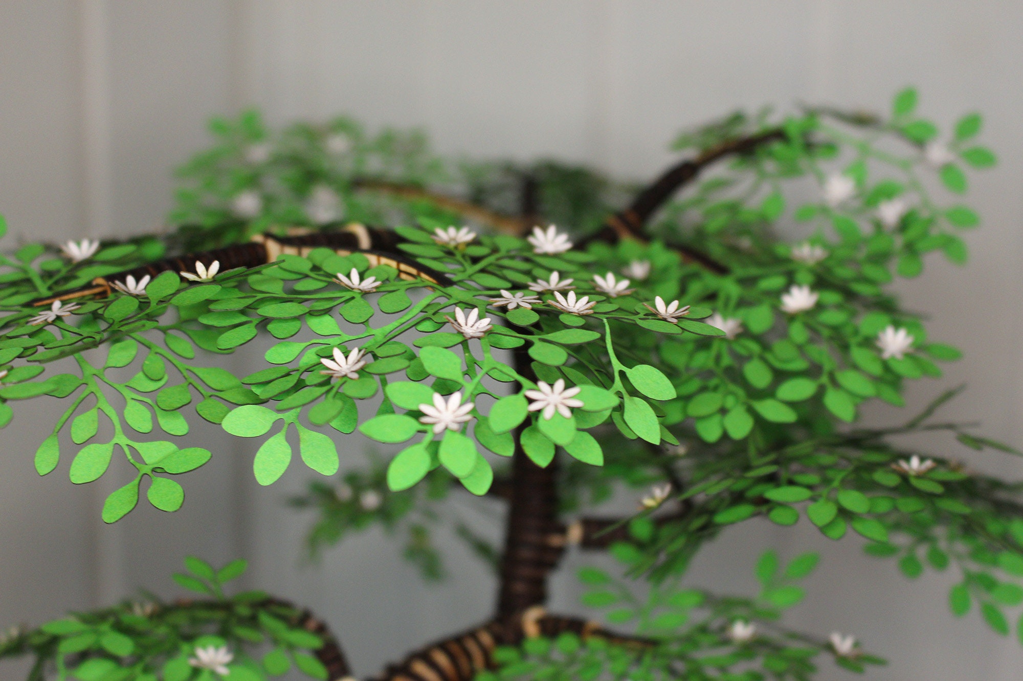 3D Bonsai Tree Laser Cut Files, DIY Vector Model (SVG, DXF) - Etsy