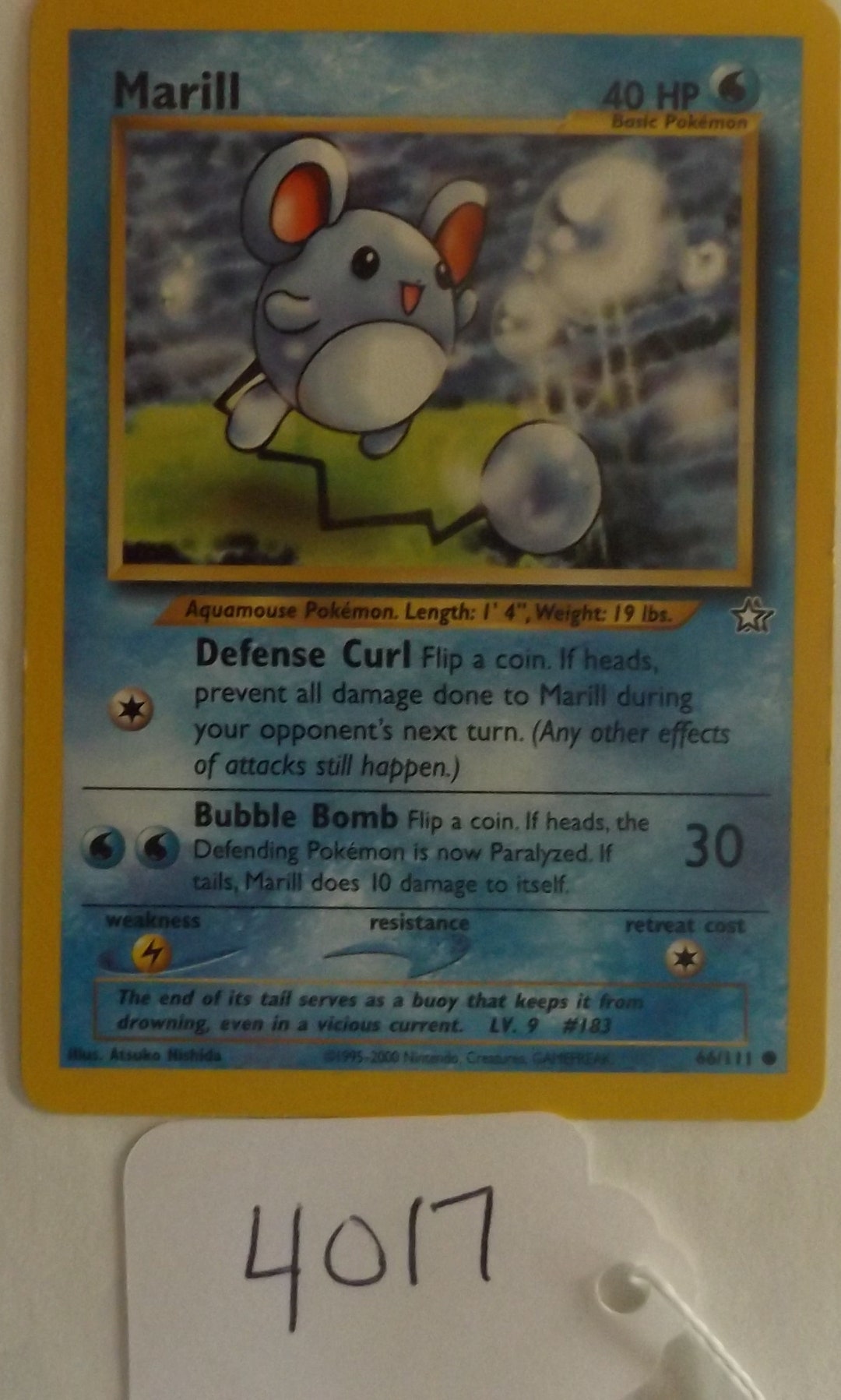 Marill Pokemon Card - Etsy