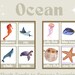 Ocean Animals Flash Cards Flash Cards Education Learning Digital ...