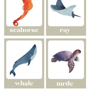 Ocean Animals Flash Cards Flash Cards Education Learning Digital ...