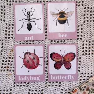 Bug Flash Cards Flash Cards Education Learning Digital Download ...