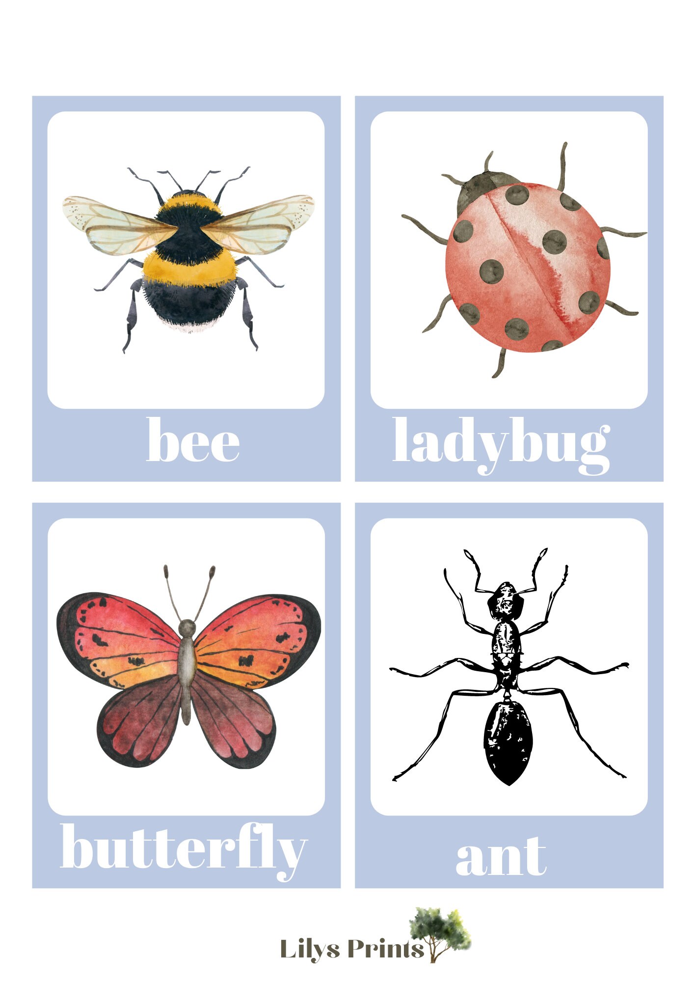 Bug Flash Cards Flash Cards Education Learning Digital Download ...