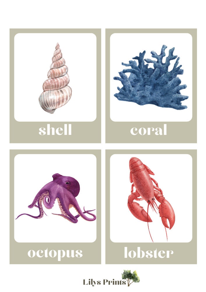 Ocean Animals Flash Cards Flash Cards Education Learning Digital ...