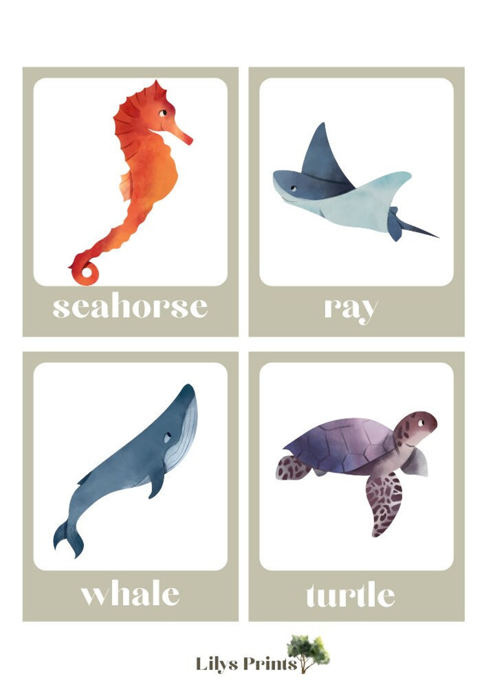 Ocean Animals Flash Cards Flash Cards Education Learning Digital ...