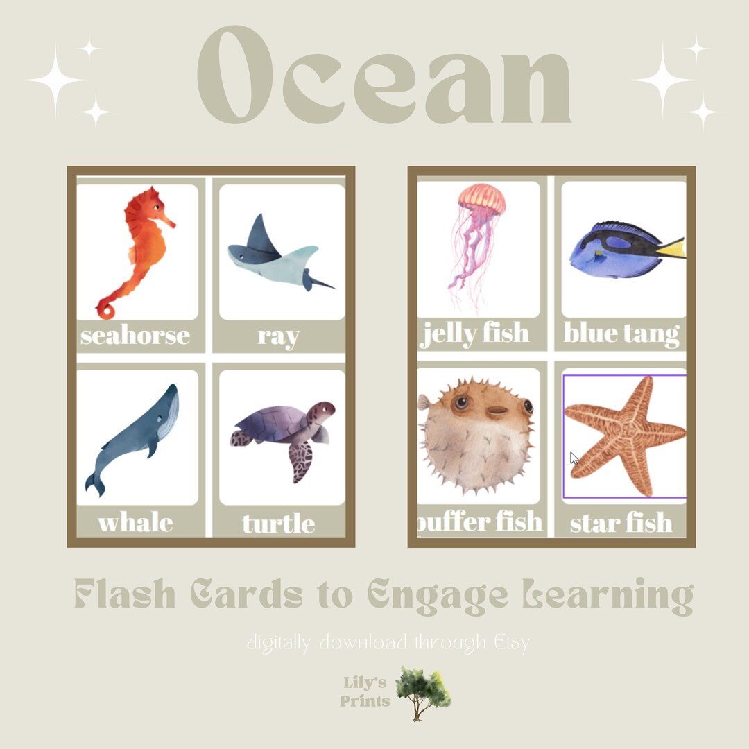 Ocean Animals Flash Cards Flash Cards Education Learning Digital ...