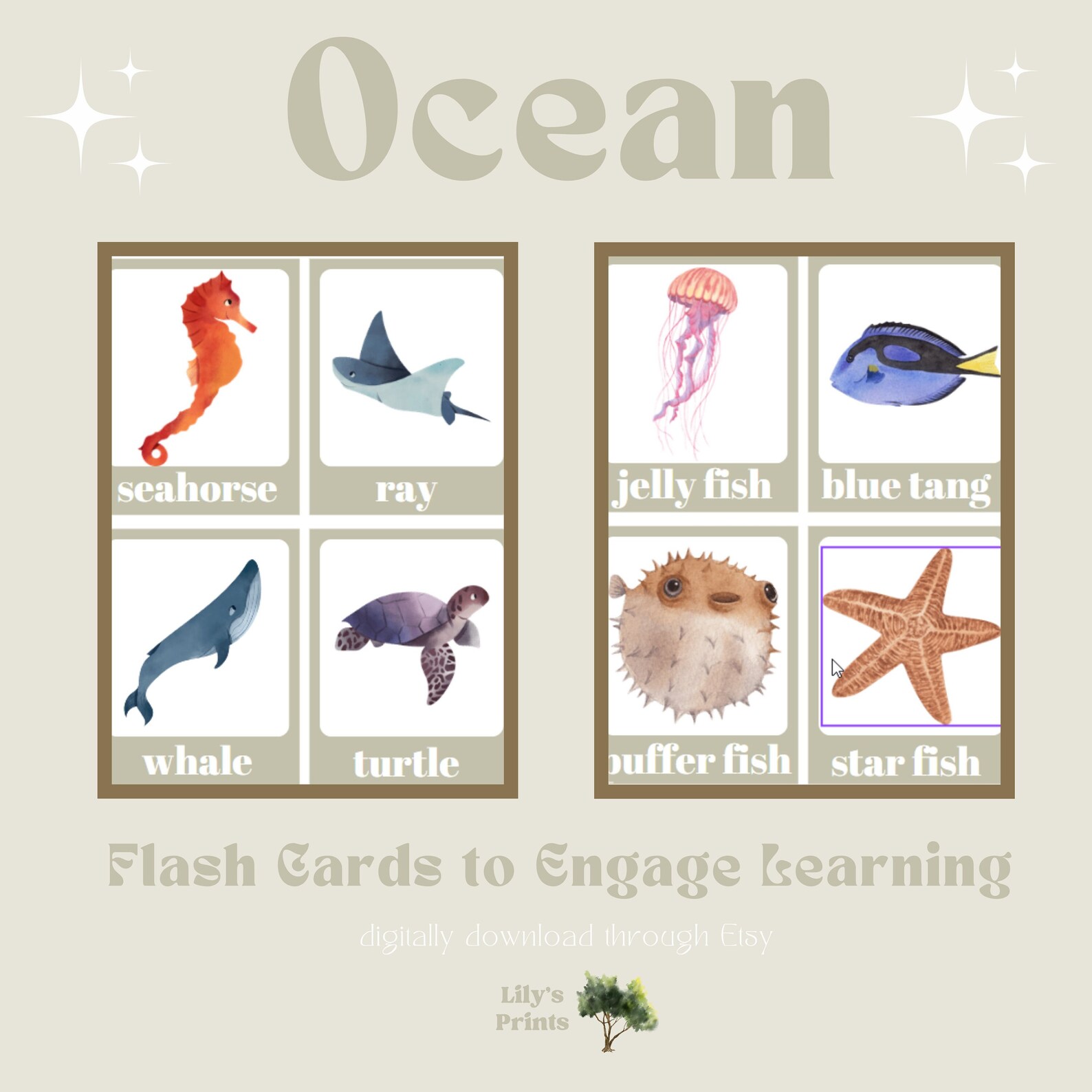 Ocean Animals Flash Cards Flash Cards Education Learning Digital ...