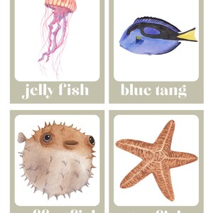Ocean Animals Flash Cards Flash Cards Education Learning Digital ...