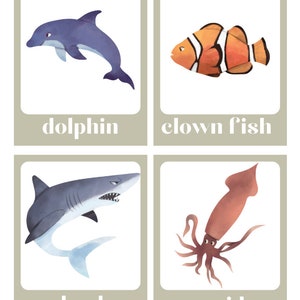Ocean Animals Flash Cards Flash Cards Education Learning Digital ...