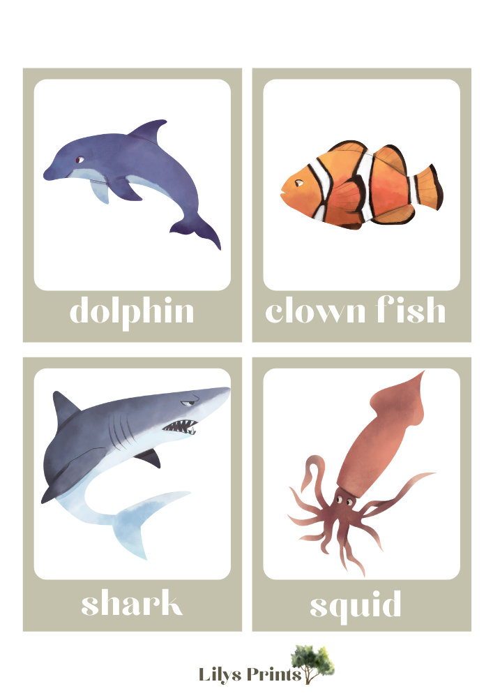 Ocean Animals Flash Cards Flash Cards Education Learning Digital ...