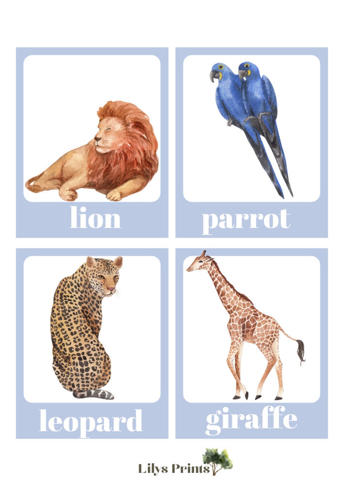 Safari Animal Flash Cards Flash Cards Education Learning - Etsy