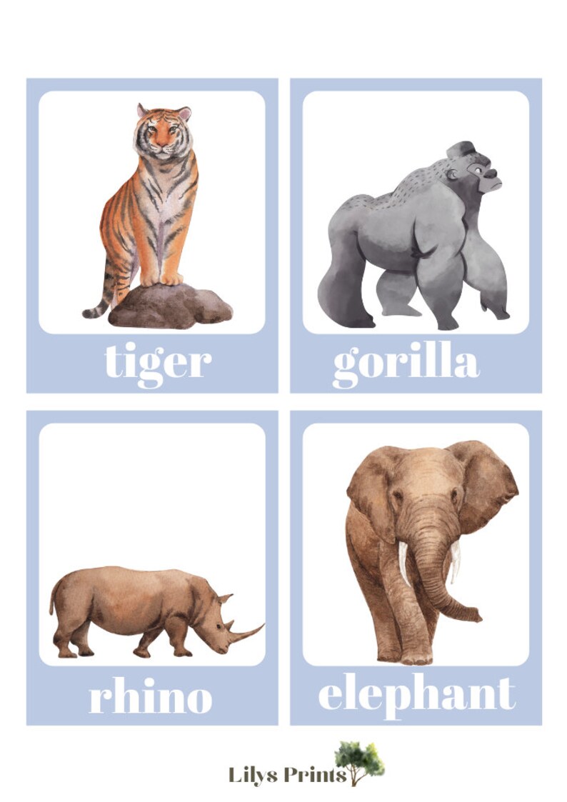 Safari Animal Flash Cards Flash Cards Education Learning - Etsy