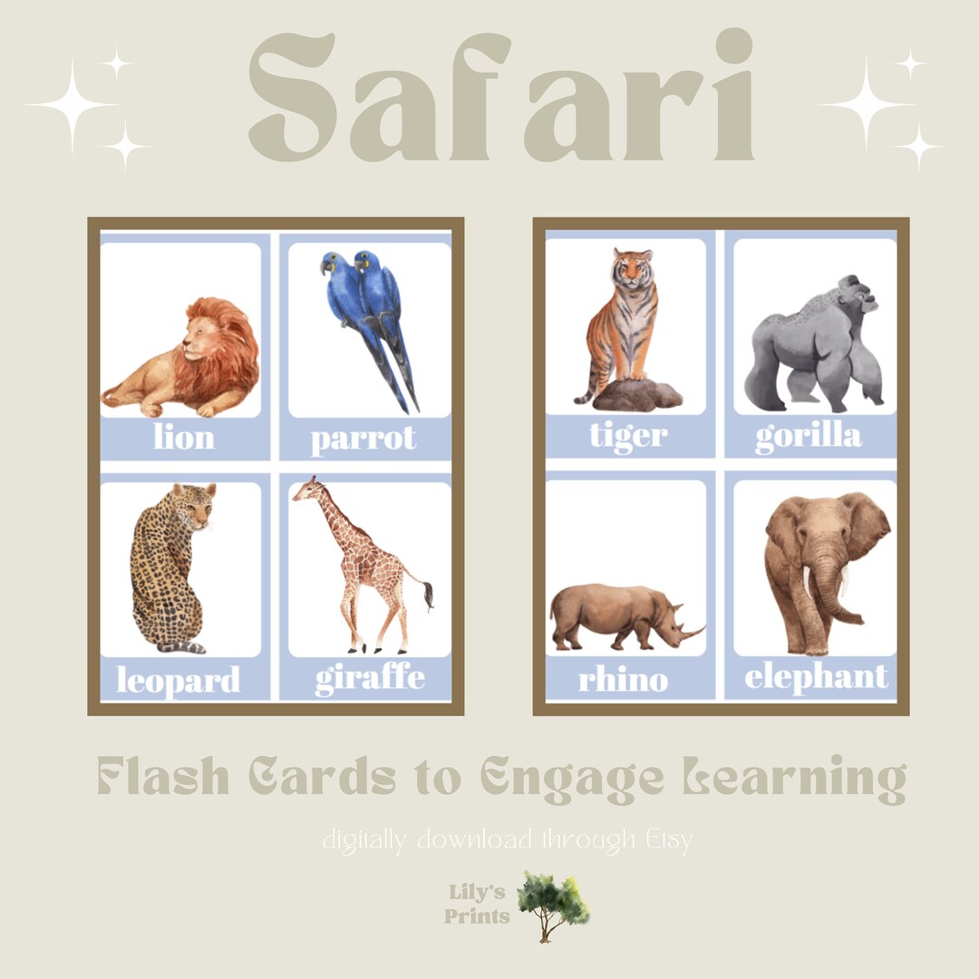 Safari Animal Flash Cards Flash Cards Education Learning - Etsy