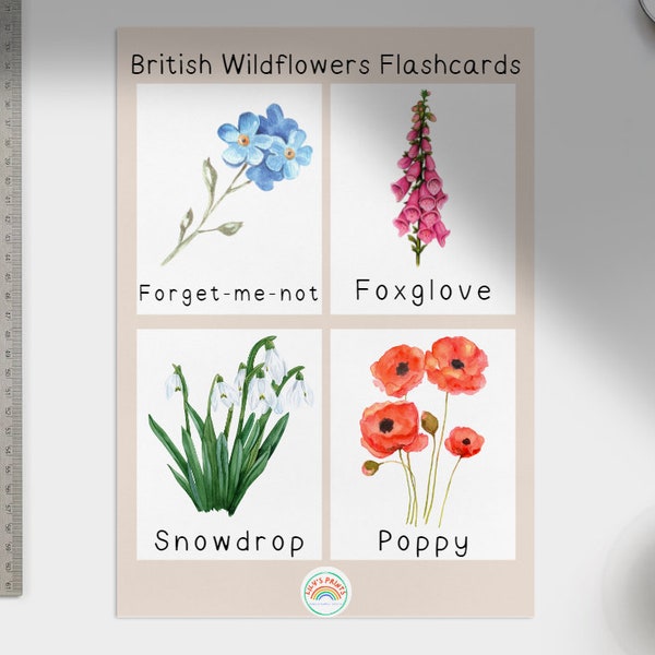 Wildflower Flash Cards - Etsy
