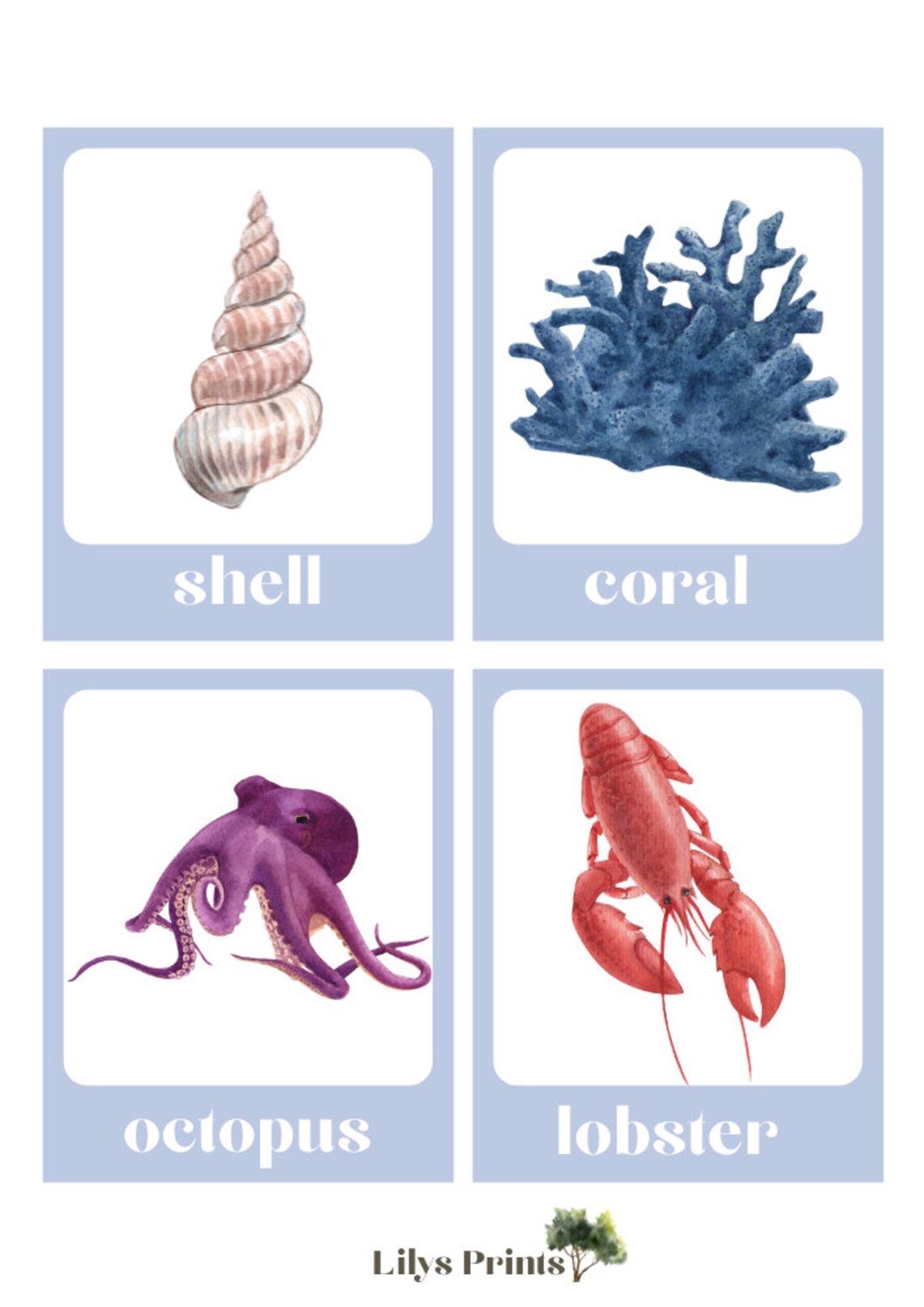 Ocean Animals Flash Cards Flash Cards Education Learning - Etsy