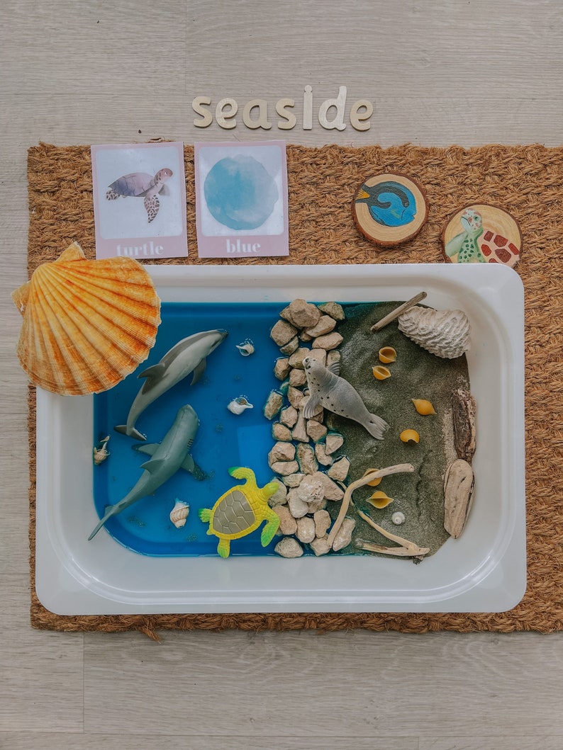 Ocean Animals Flash Cards Flash Cards Education Learning Digital ...