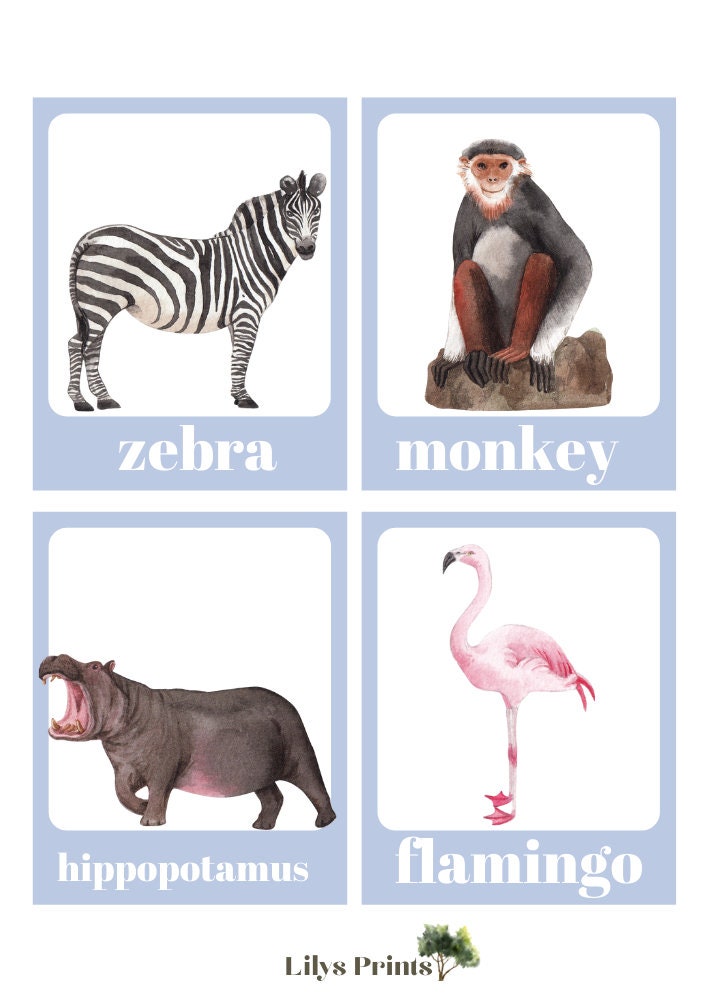 Safari Animal Flash Cards Flash Cards Education Learning - Etsy