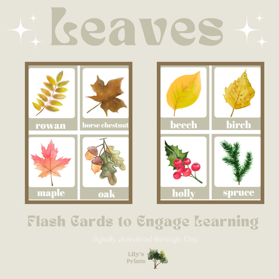 Leaves Flash Cards Flash Cards Education Learning - Etsy