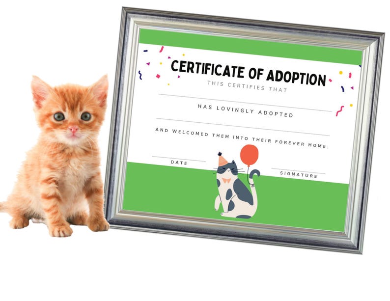 CAT ADOPTION CERTIFICATE - Printable Pdf, Editable Pdf - Etsy