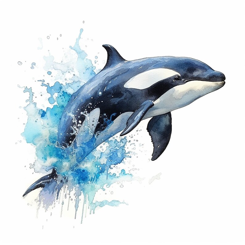 Orca Watercolor Painting | Printable Wall Art | Digital Download - Etsy