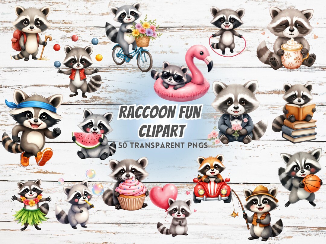 Raccoon Clipart Set, Cute Animal Pngs, Cartoon Raccoon Illustrations ...