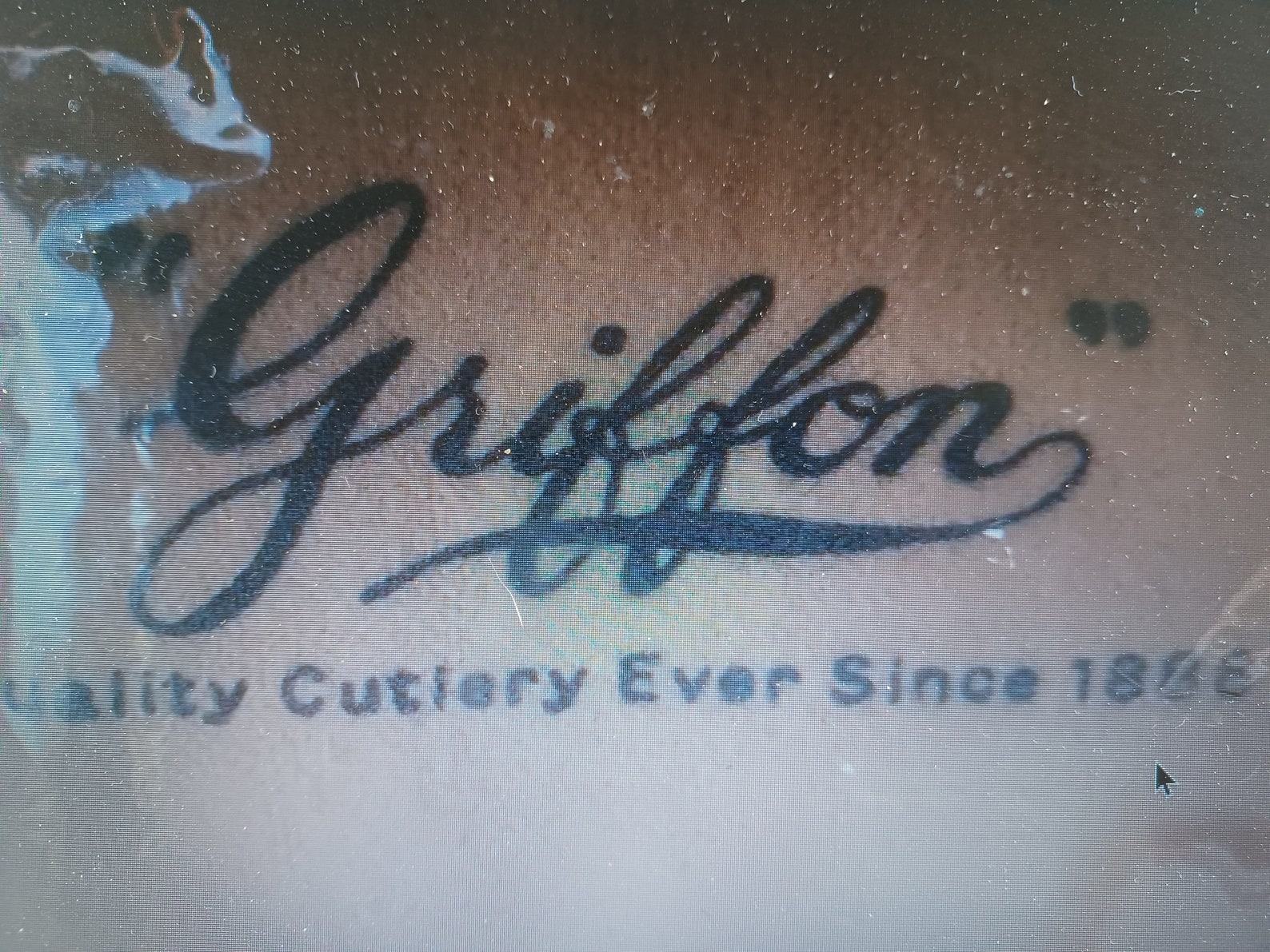 1910's Griffon Pocket Knife Cutlery Works Germany Founded 1888 Store ...