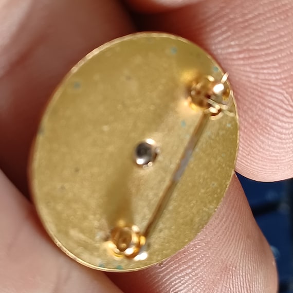 Kmart 20 Year Pin With Lab Created Rubies Employee se… - Gem