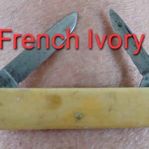 1910's Griffon Pocket Knife Cutlery Works Germany Founded 1888 Store ...