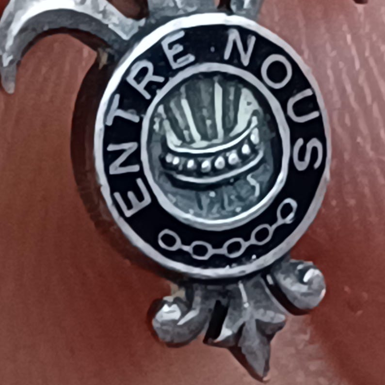 925 Sterling Fleur De Lis “ENTRE NOUS” French for Between Us Lawyer Pin ...