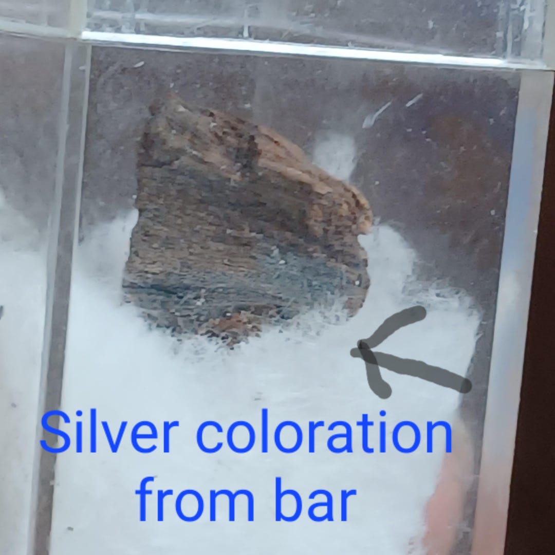 1620 Wood From Atocha Shipwreck Stuck on Recovered Silver Bar Spanish ...