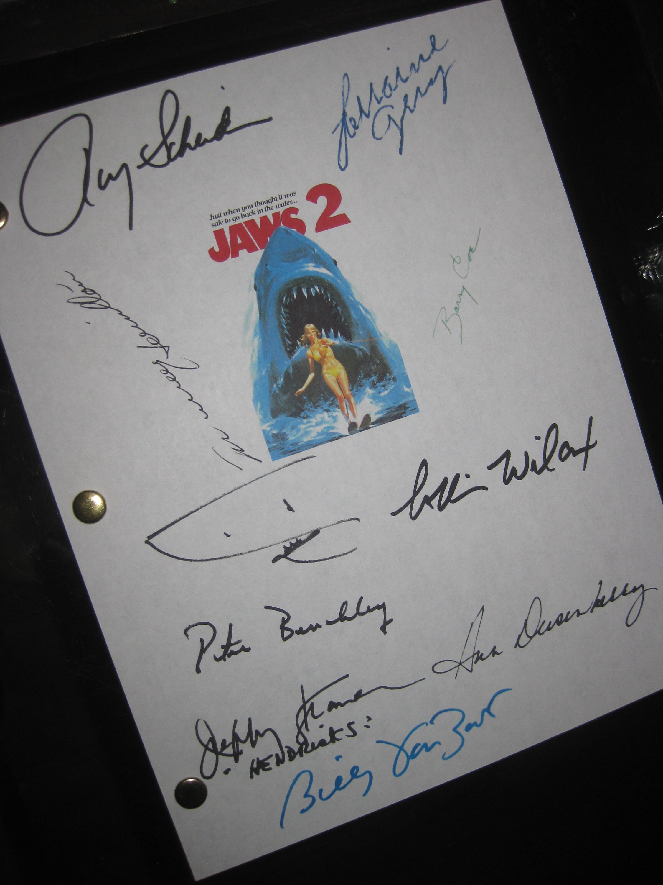 Ann Dusenberry Jaws 2
