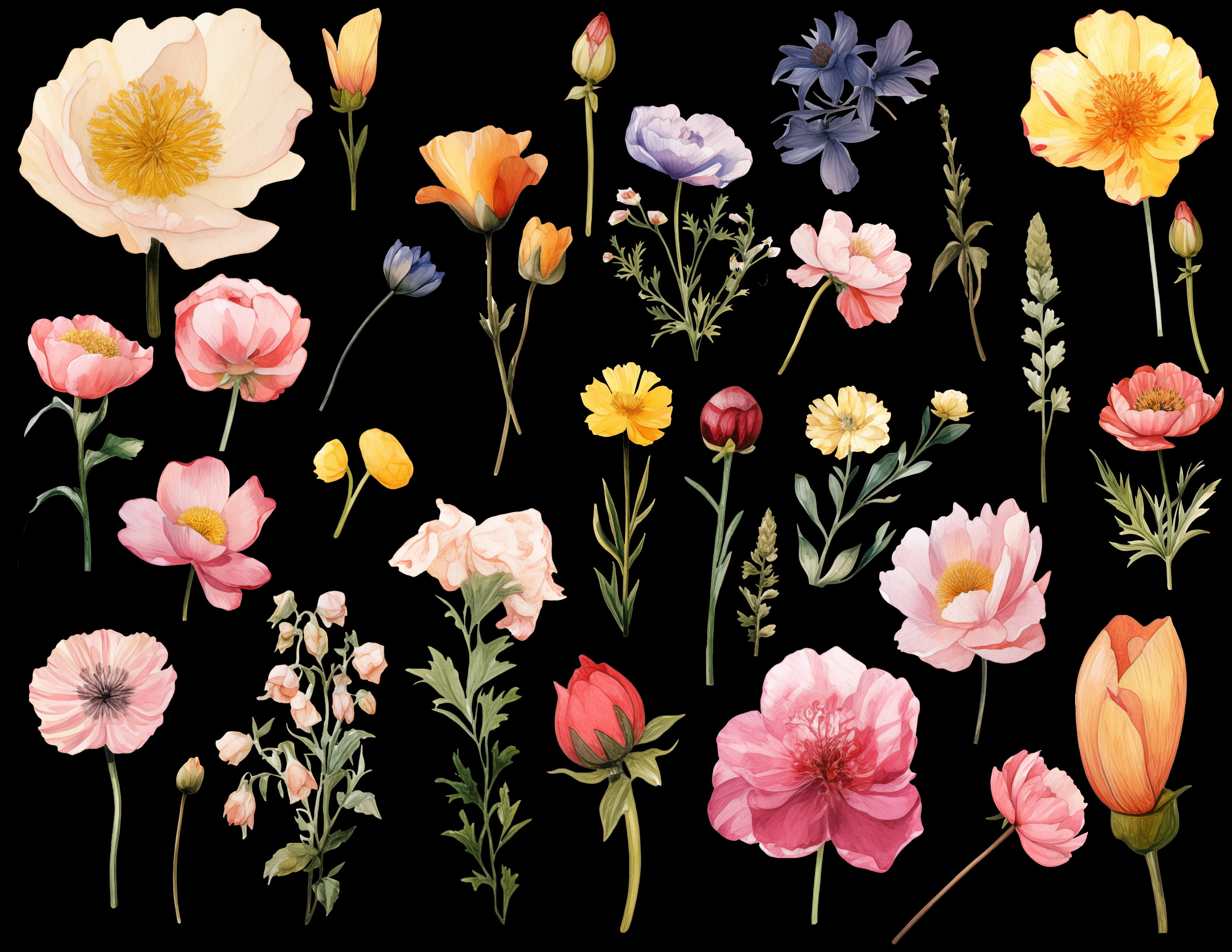 Blossom Spectrum Instant PNG Florals Transparent Botanicals Print on ...