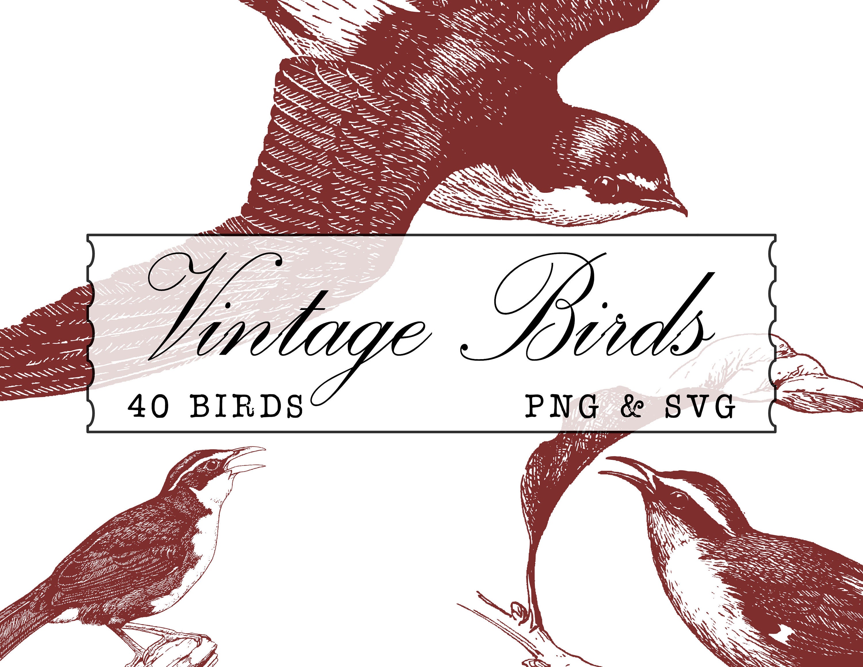 bird clip art commercial vector commercial svg Vintage Birds Craft ...
