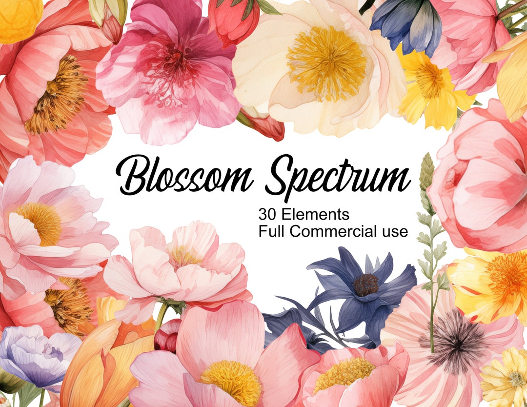 Blossom Spectrum Instant PNG Florals Transparent Botanicals Print on ...
